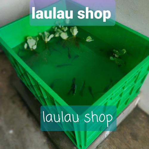 Jual 80x60x45 Box Container Hanata 3101 Bak Industri Kolam Ikan HNT ...
