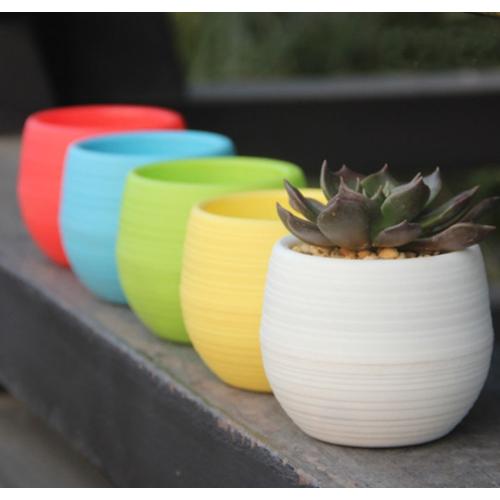 Jual Pot vas succulent pot tanaman bunga kaktus sukulen plastik bulat ...