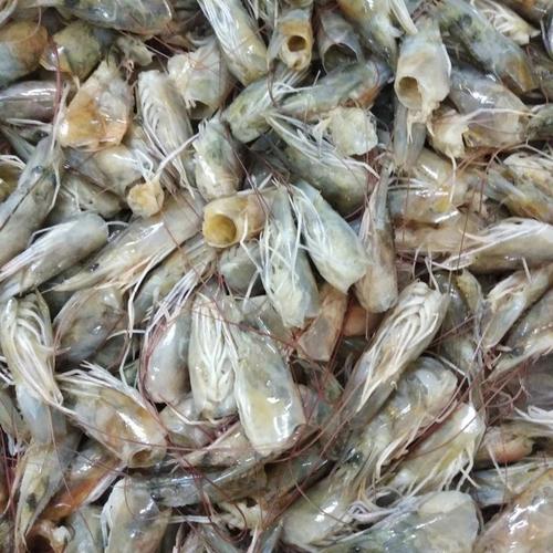 Jual kulit dan kepala udang segar buat kaldu 500gr - Jakarta Barat ...