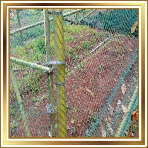 Jual Jaring PE penutup lubang 1cm pengaman,kolam ikan, kandang ayam ...