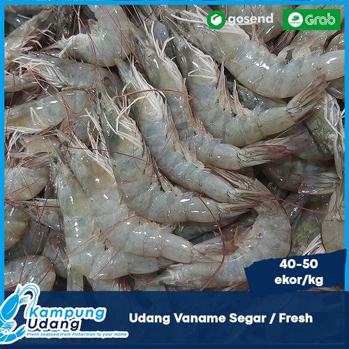 Jual Udang Vaname Segar Fresh Vaname sz 40-50 ekor Udang Segar /kg ...