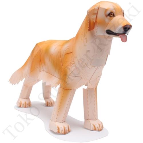 Jual Anjing Golden Retriever Male Standing Papercraft Puzzle 3D Paper ...