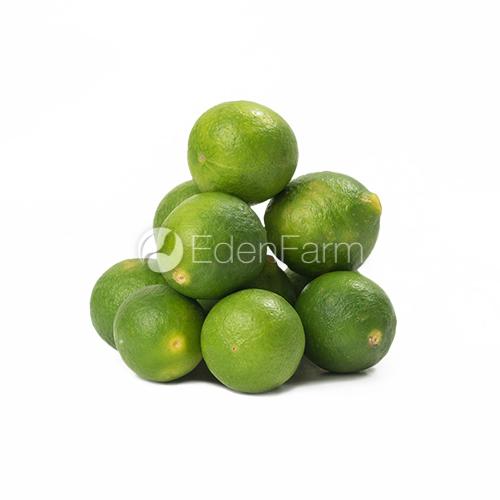 Jual Buah Jeruk Nipis Full Hijau 1 KG - Jakarta Pusat - SayurWoori ...