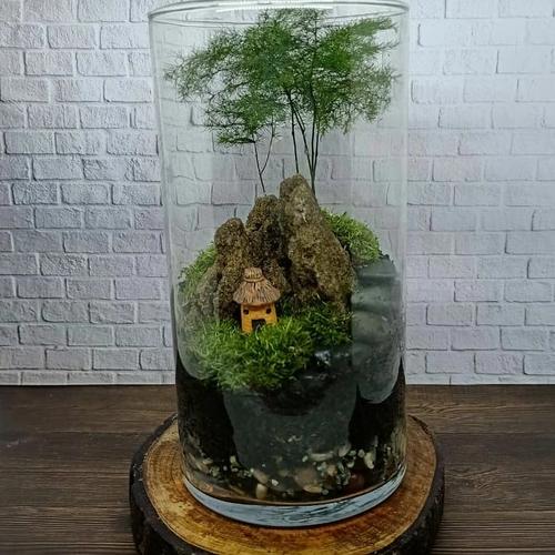 Jual Custom Terrarium 2 - Jakarta Selatan - Aquagift | Tokopedia