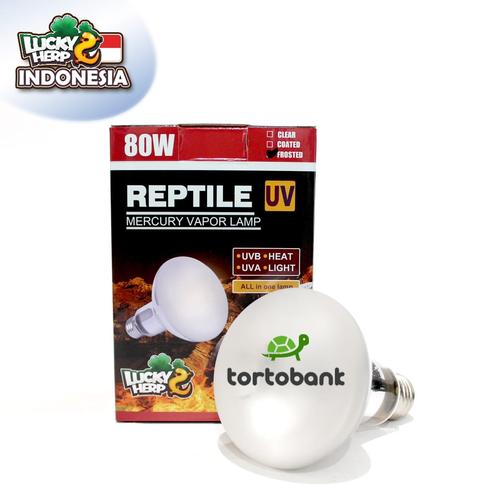 Jual LAMPU UVA UVB MERCURY VAPOR LAMP 80 WATT LUCKY HERP - MIRIP SOLAR GLO - Jakarta Utara ...