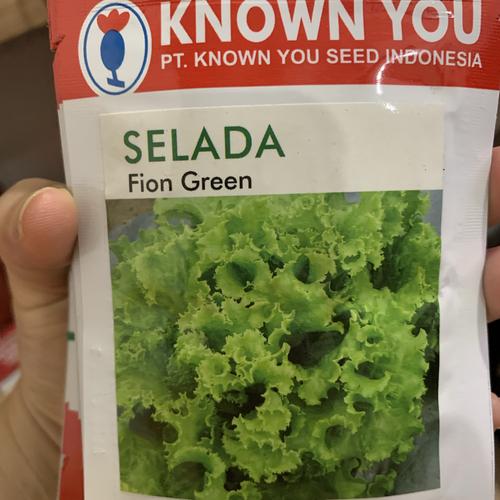 Jual benih selada fion green kemasan known you seeds - Kota Tangerang ...