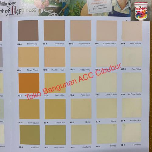 Jual Cat Tembok Interior dan Exterior ColorTone Color Tone 5 Kg - Muda ...