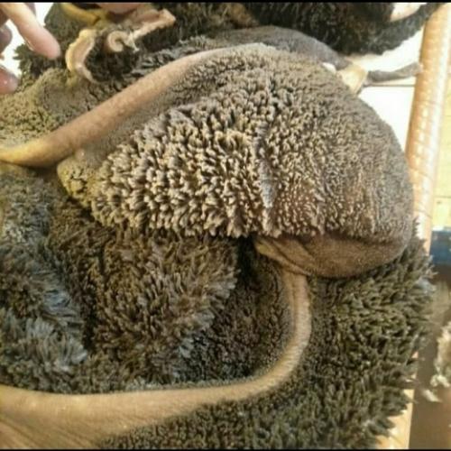 Jual Babat Daging sapi Asli Murni Lokal Fresh 500 gr GoJek/Grab ...