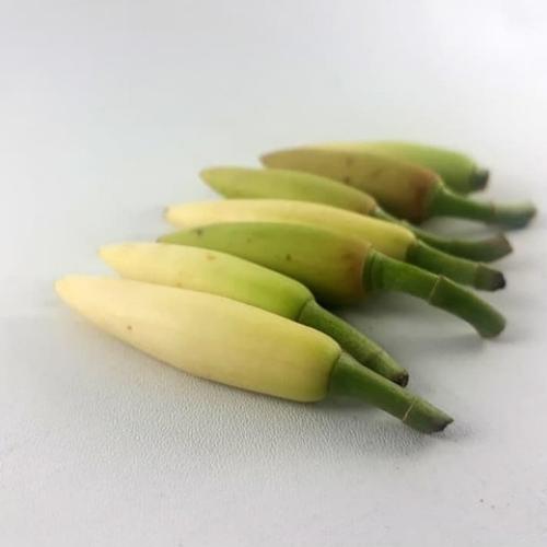 Jual Bunga Kembang Kanthil Kuncup Cempaka Warna Putih Segar - Kab ...