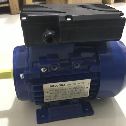 Jual Electro Motor/Dinamo 1 phase BOLOGNA (Foot/B3) 0.5-2HP 4pole - 1HP - Kota Bandung ...