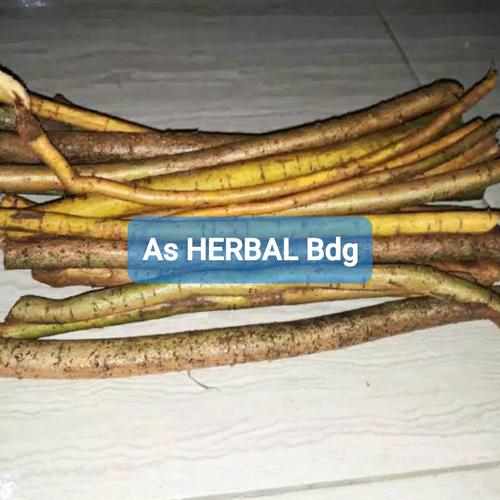 Jual Jual Akar tuba segar 1 kg pestisida organik - Kab. Bandung Barat ...