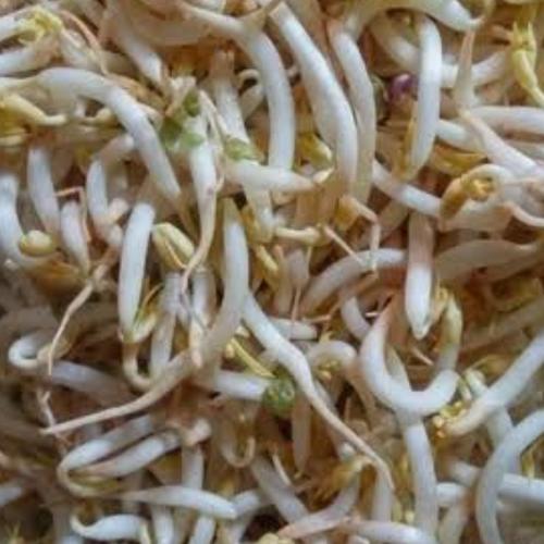 Jual TOGE PENDEK / TOGE BIASA - Kota Bogor - Ramora Fresh Market ...