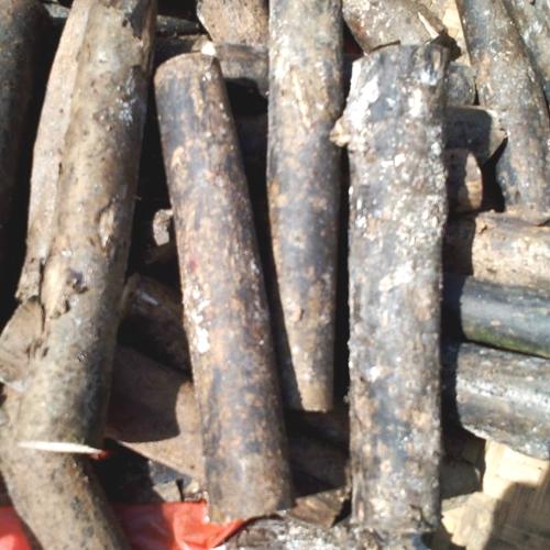 Jual kayu kilemo/krangean 25 cm - Kab. Bogor - onlensukses | Tokopedia