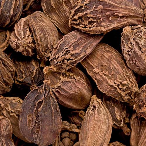 Jual Cao guo Amomum tsaoko 35gram / Chinese Black Cardamom/ Kapulaga ...