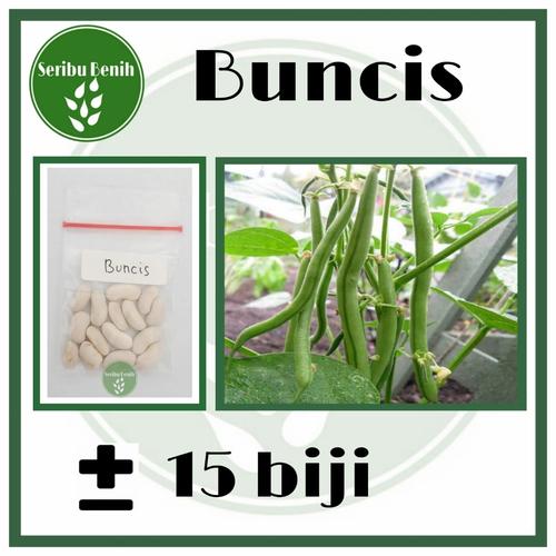 Jual 15 Benih Buncis Putih Sayuran Unggu - Bibit Repack [ SERIBU ...