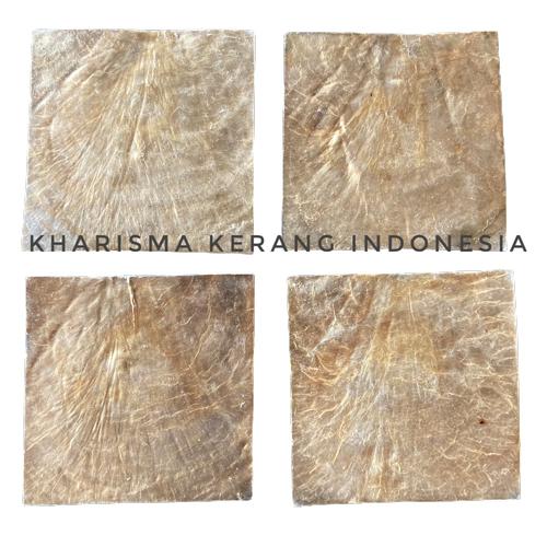 Jual LAMINATED CAPIZ SHELL GOLD 5X5 PELUNAKAN KERANG CAPIZ SHELL SHEET ...