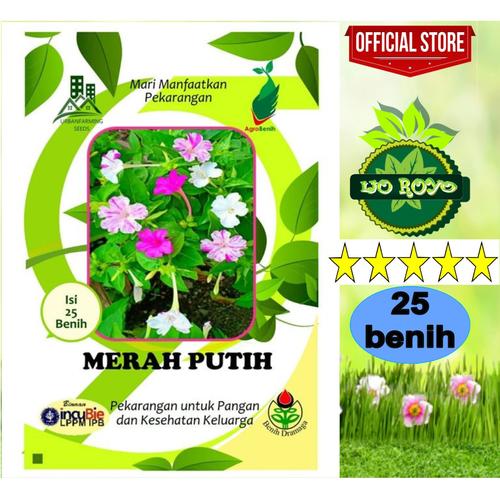 Jual Bunga Pukul Empat Merah Putih ipb dramaga - Kota Depok ...