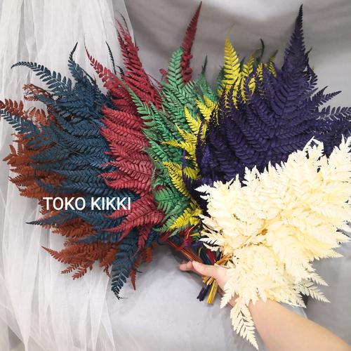 Jual Daun Pakis Dried Flower | Bunga Kering - natural, 10 Daun kecil ...