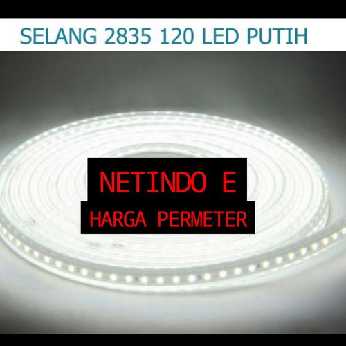 Jual LAMPU SELANG STRIP LED 2835 220V CEILING LAMPU STRIP PLAFON PERMETER - Putih, 120 led ...
