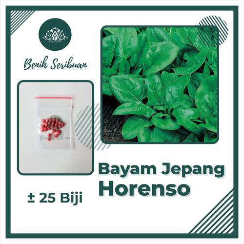 Promo 25 Benih Bayam Jepang Horenso Bibit Sayuran Horenzo Organik ...