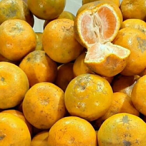 Jual jeruk medan super manis 1kg - Jakarta Selatan - farhan fruits ...