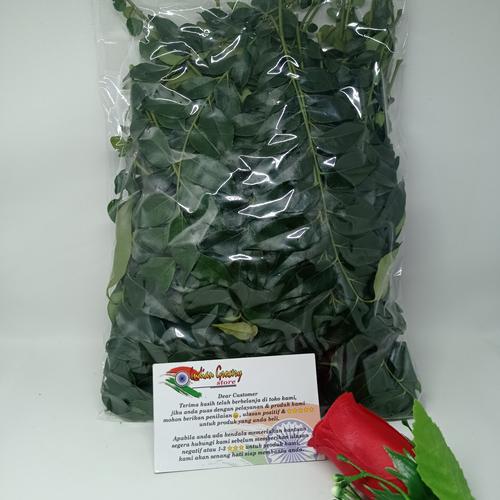 Jual Daun Kari/Salam koja / Daun Temurui / Curry Leaf Fresh 100gr ...