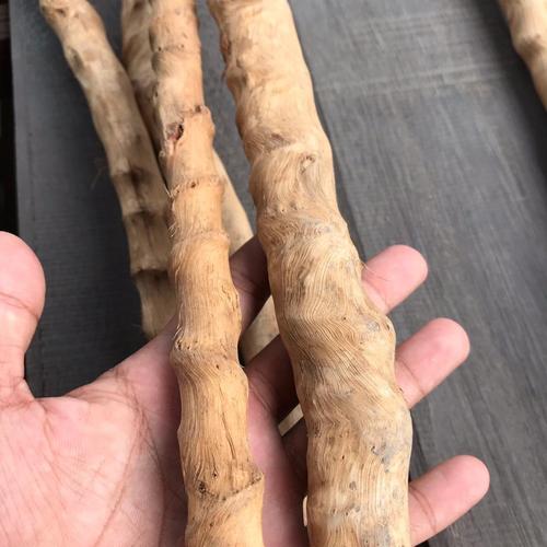 Jual Kayu Putar Penunduk Asli Kalimantan 100CM - Kab. Banjar - Pusaka ...