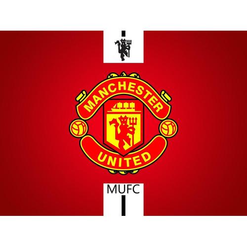 Jual Cetak Bendera Satin Custom Manchester United - Jakarta Barat ...