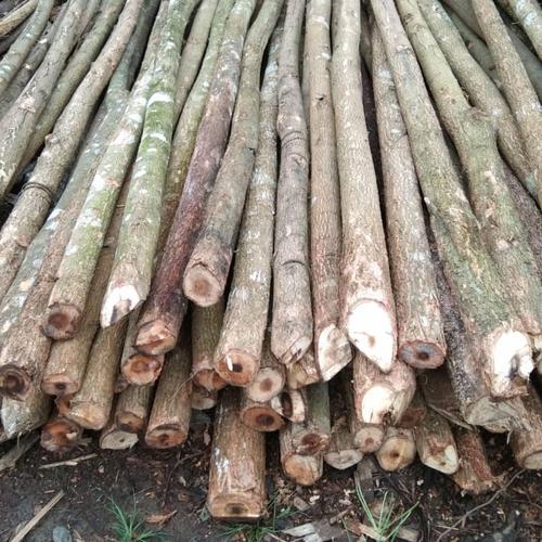 Jual DOLKEN 4-6 4MTR murah esteger & pagar - Kab. Bogor - ud murdoni ...