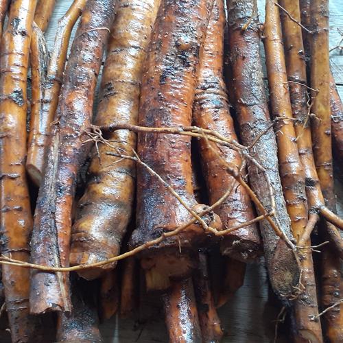 Jual akar tuba pestisida 1kg - Kab. Bandung Barat - RISKA-AS | Tokopedia