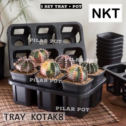 Jual 1 set Tray + pot bunga tanaman nkt kotak 8 cm | tray semai bibit ...