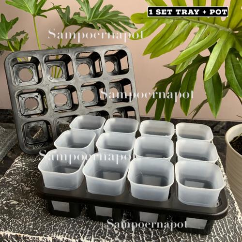Jual 1 set Tray + pot nkt kotak 5cm BENING TRANSPARAN | tray semai ...