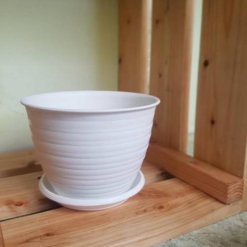 Jual POT TAWON 10 CM + TATAKAN - Jakarta Utara - SANGGAR_TANAMAN ...