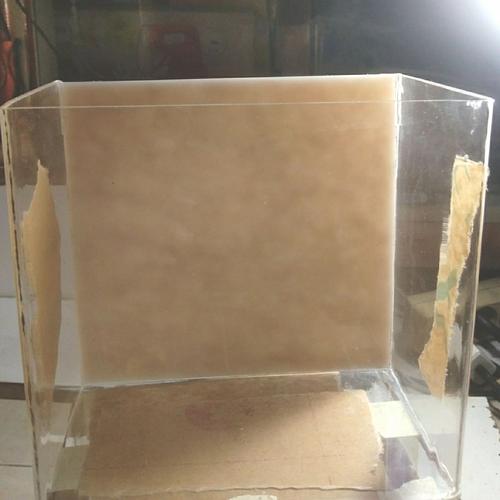 Jual soliter akrilik cupang custom - Kota Bekasi - As Mika | Tokopedia