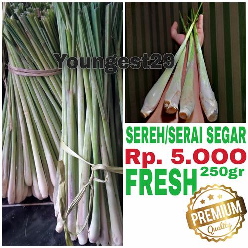 Jual SUPER sereh segar /serai segar / lemon grass - Jakarta Timur ...
