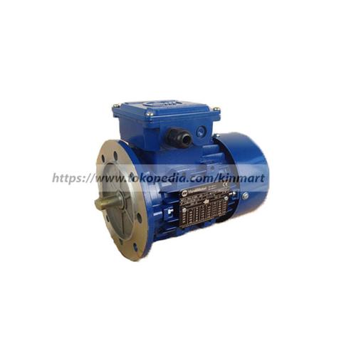 Jual Elektrik Motor Marelli Motori MAA 0.75kw/1hp/4p/flange/3phase ...