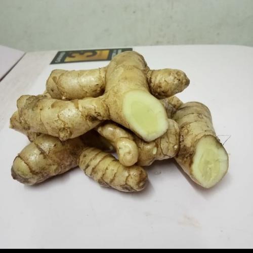 Jual kunyit temu putih segar 500gram (temu putih/curcuma zedoaria ...