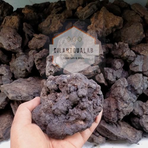 Jual Batu Besi Aquascape/iron stone/hardscape iniaquascape Aquarium ...