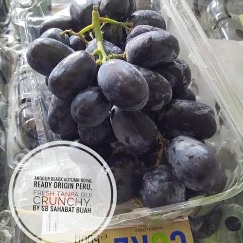 Jual BUAH ANGGUR HITAM BLACK AUTUMN TANPA BIJI - Jakarta Barat ...