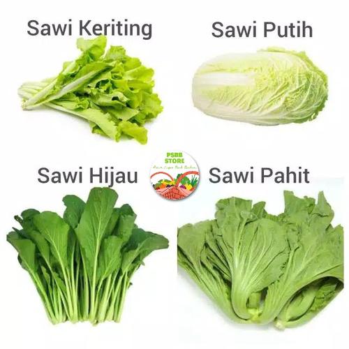 Jual Sawi putih/sawi hijau/caisim/sawi pahit/sawi keriting - Selada ...