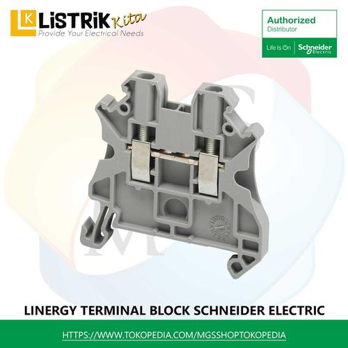 Jual TERMINAL BLOCK SCHNEIDER Linergy passthrough 2.5mm - NSYTRV22 ...