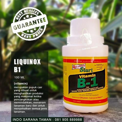 Jual Vitamin B1 LIQUINOX 100ml Vitamin Pupuk Obat Tanaman untuk anti ...
