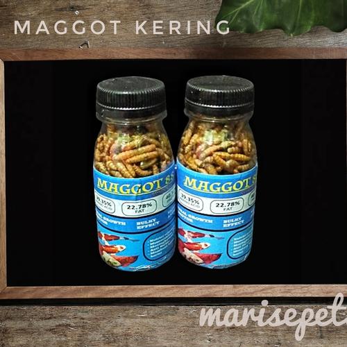 Jual ulat maggot kering landak mini dan sugar glider - Kota Bandung ...