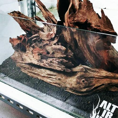 Jual Kayu rentek aquascape ukuran L - Kota Bekasi - OneAltair | Tokopedia