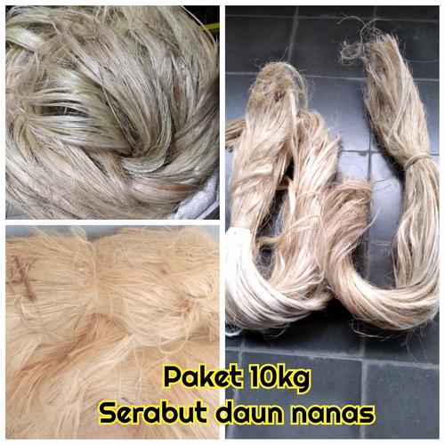 Jual Komposit Serabut serat alam daun nanas agave vegetable fibre - Kab ...