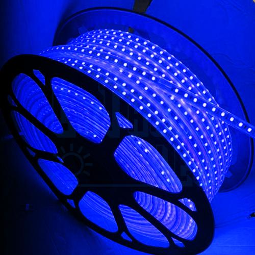 Jual Lampu LED STRIP SELANG 2835 120 LED 220v OUTDOOR BIRU 100 M ROLL ...