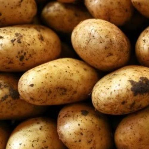 Jual KENTANG SEDNG 500gr/ SAYUR SAYURAN CURAH - 1/2 kg - Kota Surabaya ...