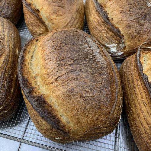 Jual Don Bakeshop Sourdough Bread - Country Bread - Jakarta Timur - Don ...