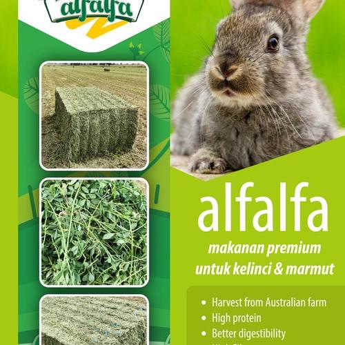 Jual Rumput Alfalfa Hay - Jakarta Timur - Pagar Kawat | Tokopedia
