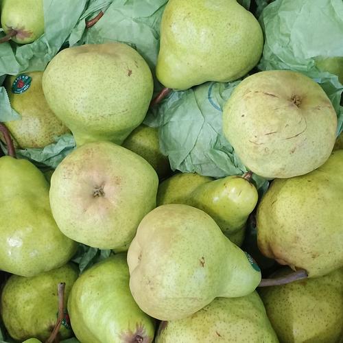 Jual Buah Pear Packham/Pir hijau Fresh. - 500 gram - Jakarta Barat ...
